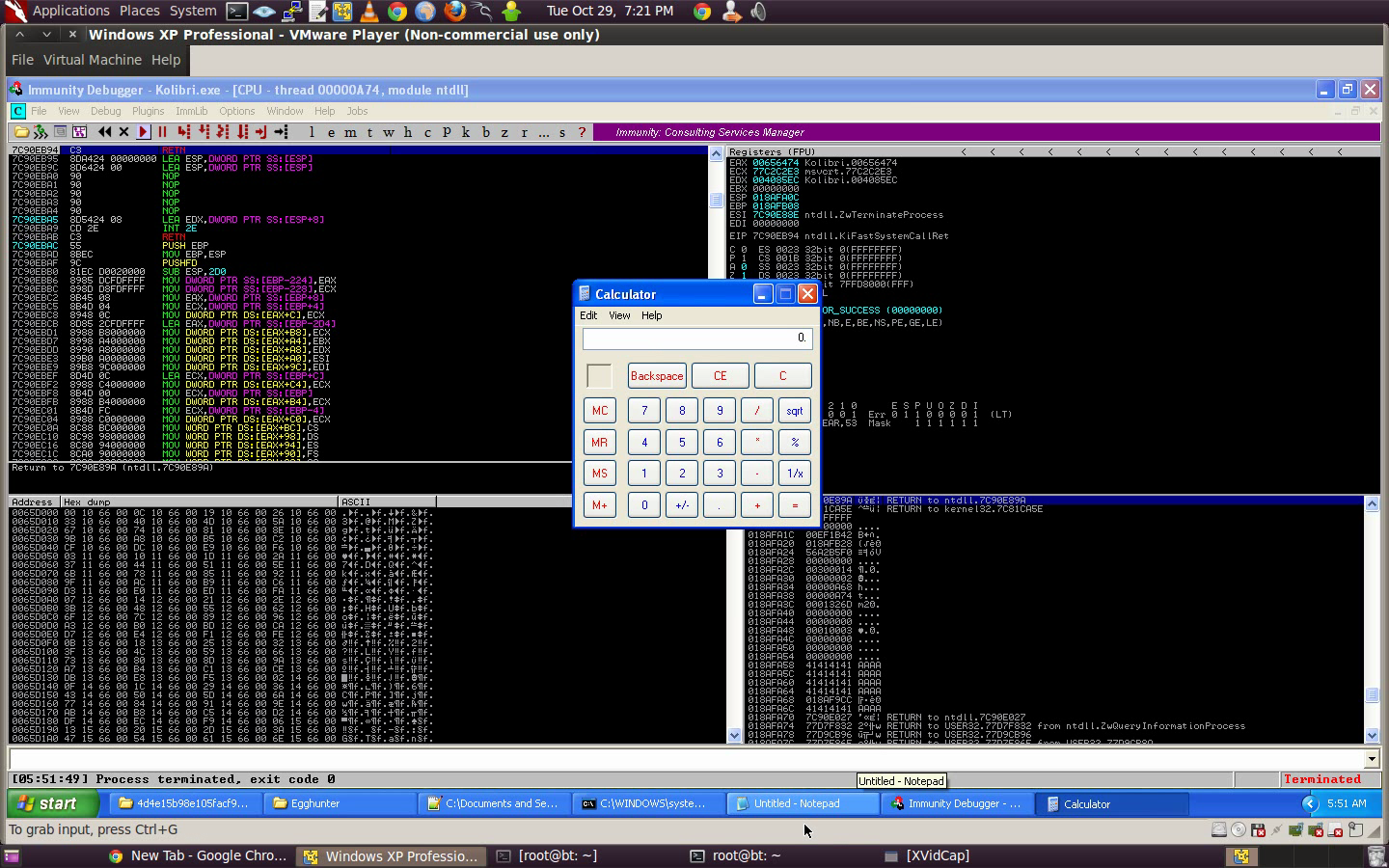 Egg Hunting Fun | 🔐Blog of Osanda